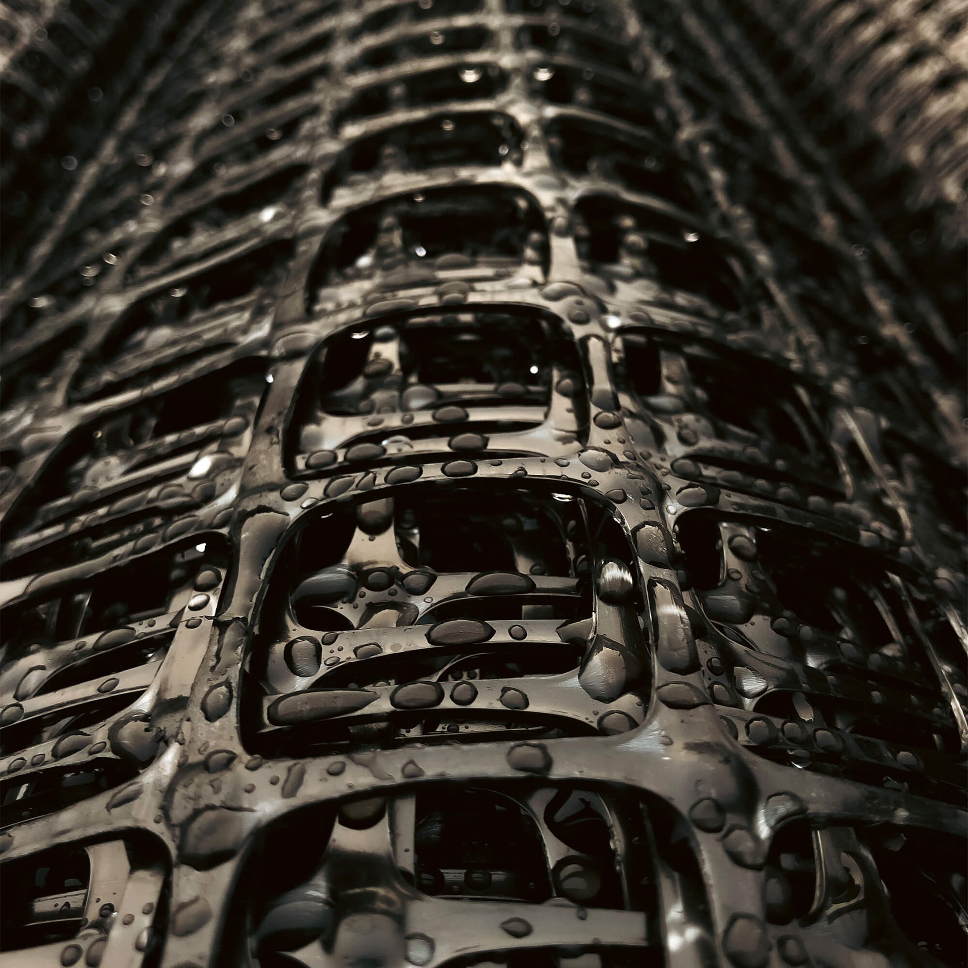 TCS Tensar SS Series Biaxial Geogrid – SS20, SS30, SS40 — Eco Trade Counter